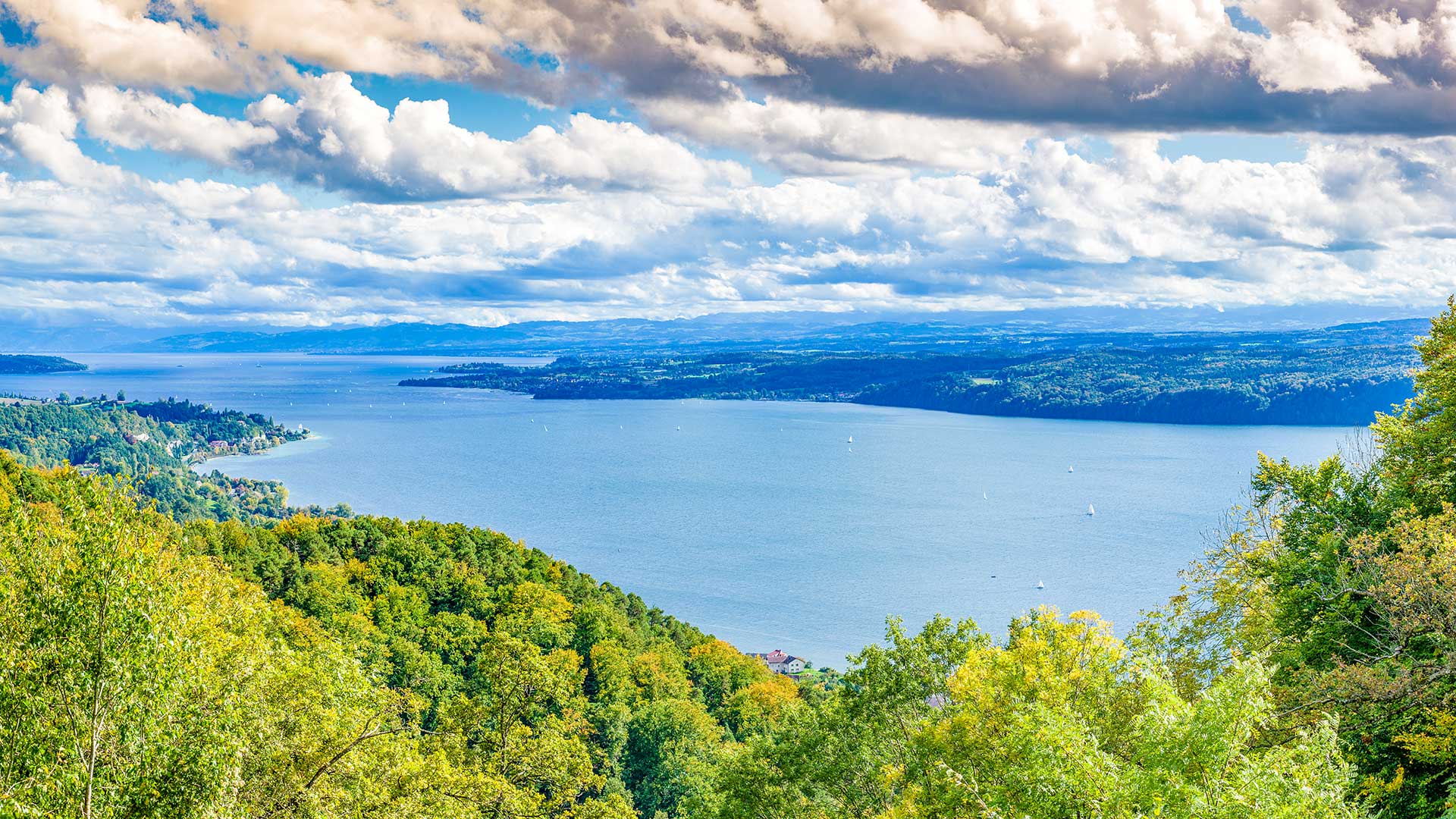 Lake Homes Realty - Justin Dyar